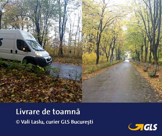 GLS Romania - Livrari business si expres in Romania si...