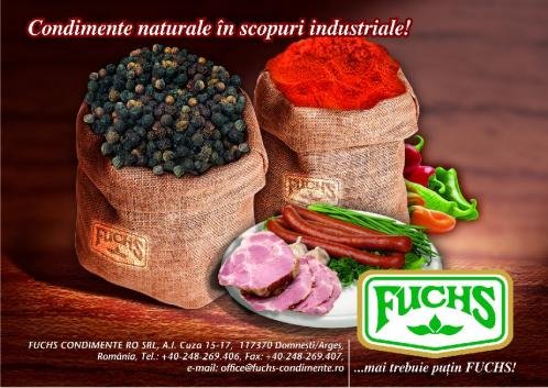 FUCHS CONDIMENTE RO - Arges - Alimente