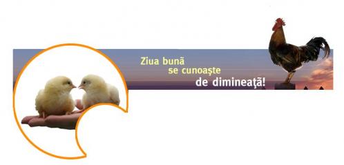 Agrimon - Braila - Alimente